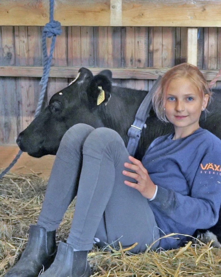 Filmer om bondens växter och djur | Gratis i skolan